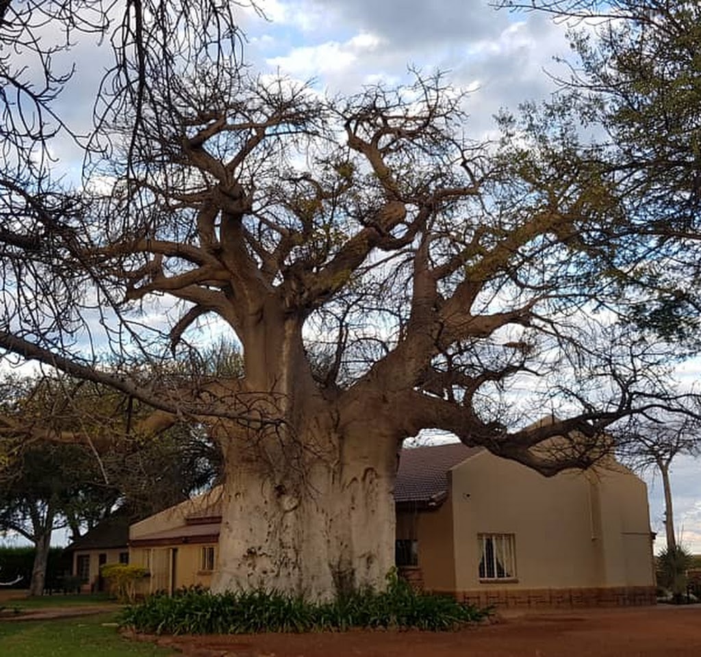 Baobab Lane Lodge - BNB Finder