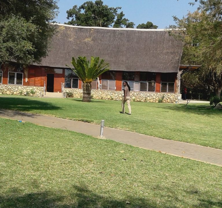 Dinoko lodge - BNB Finder