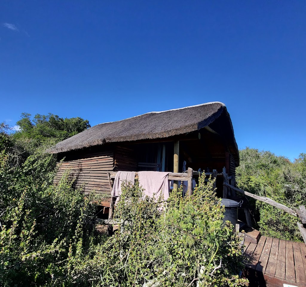 Addo Dung Beetle Guest Farm - BNB Finder
