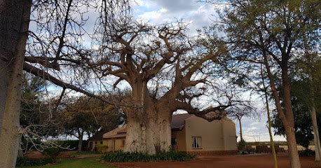 Baobab Lane Lodge - BNB Finder